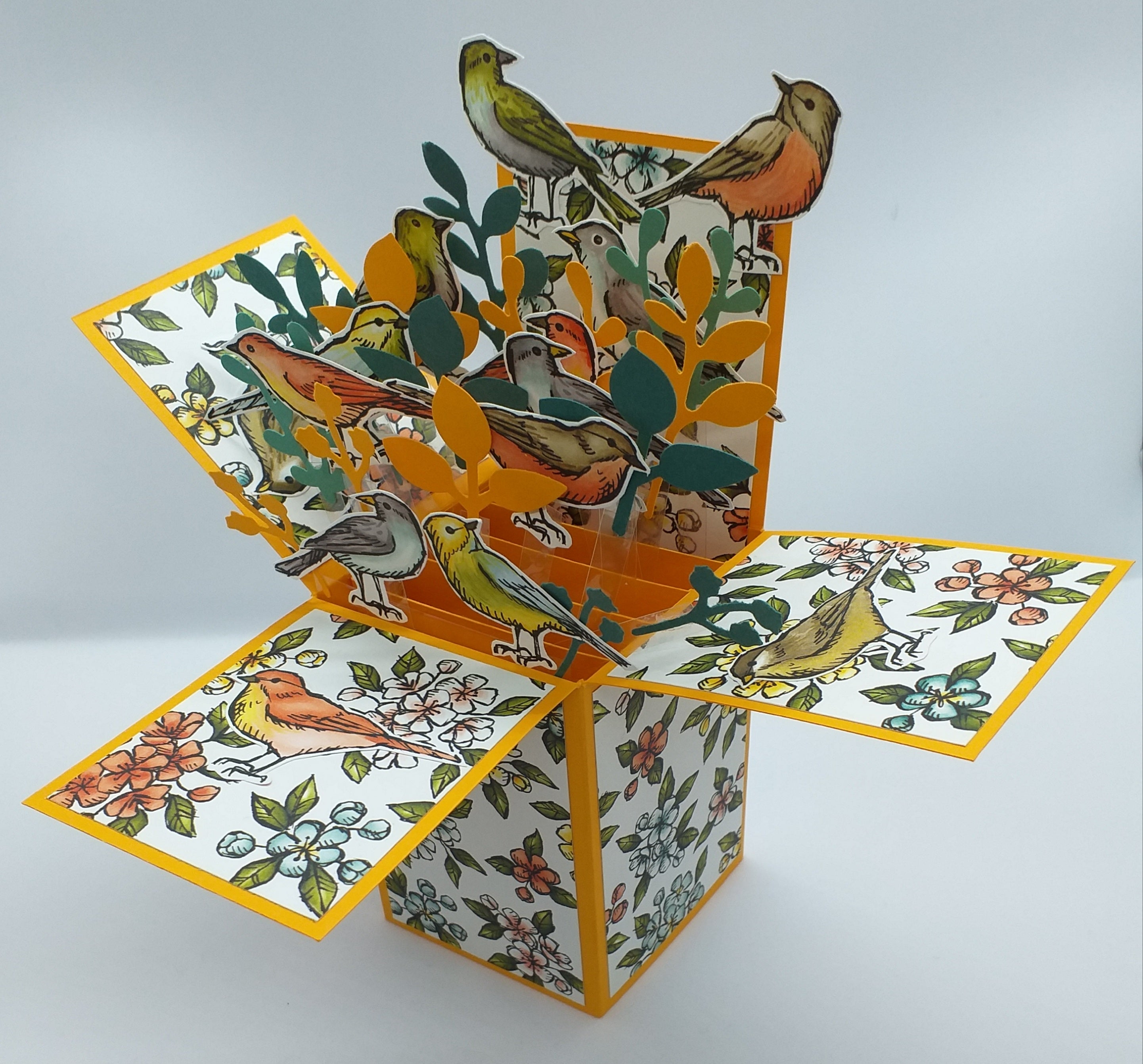 DIY Pop Up Card Kits – Pretty Little Things Orkney